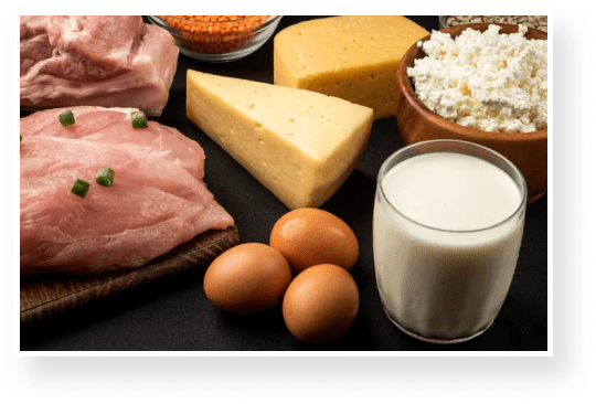 Thatcher Farm- farm fresh dairy, pasture-raised meats, local grocery ...